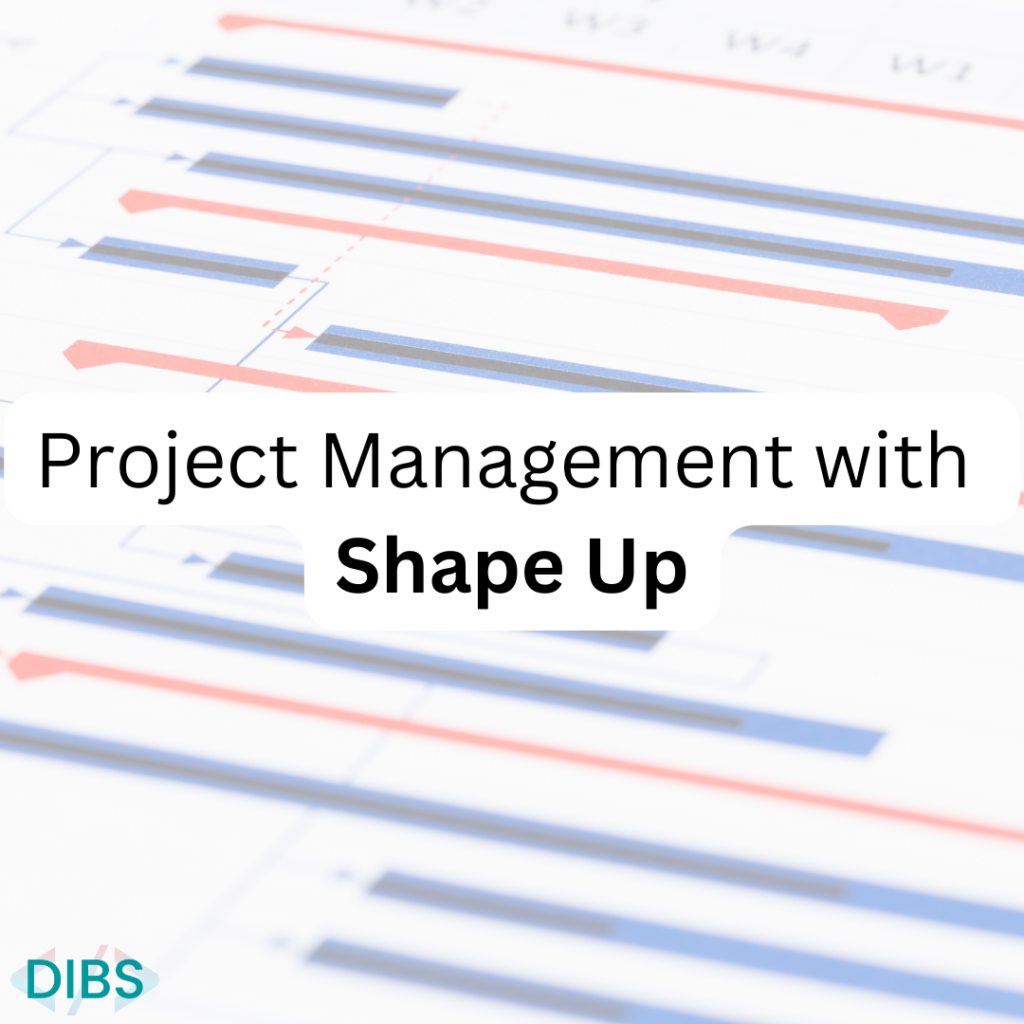 Project Management Explained: A Guide to 'Shape Up' Method - DIBS ...